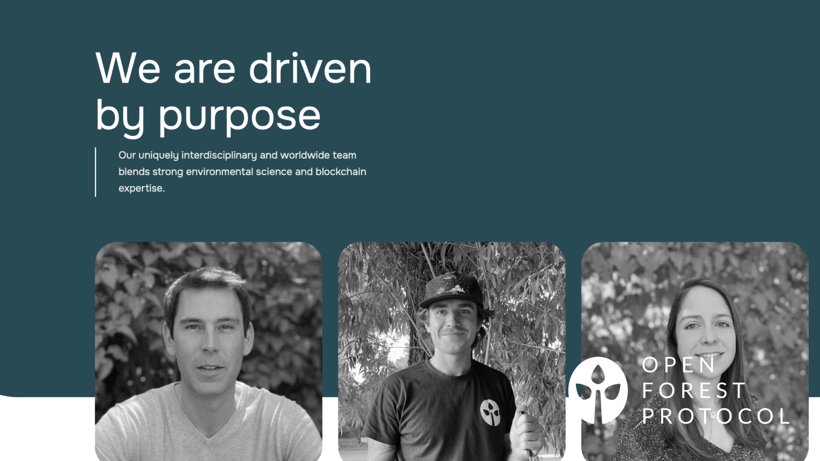 Open Forest Protocol | Team